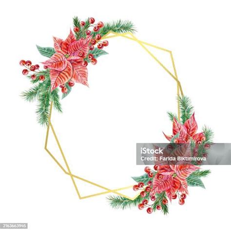 포인세티아 프레임 골드 전나무 가지 열매 크리스마스 꽃입니다 수채화 그림입니다 새해 인사말 카드 초대장 포스터 라벨 0명에 대한 스톡 벡터 아트 및 기타 이미지 Istock