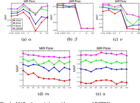 Dual Level Semantic Transfer Deep Hashing For Efficient Social Image Retrieval