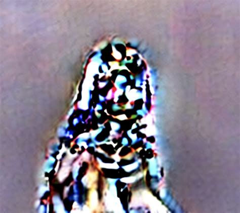 Some Of My Dreambooth Models Only Produce Images Like This What Should I Do Differently When