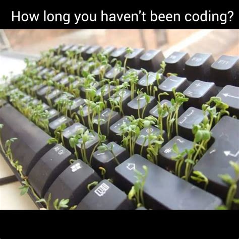 Certified Technical Experts Inc On Linkedin Programmermemes Programmingmemes Programmer