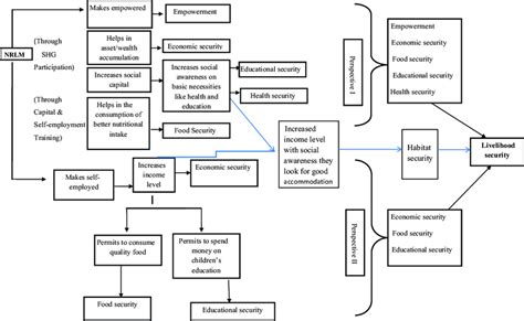 Conceptual Framework On Achieving Livelihood Security Through Nrlm Download Scientific Diagram