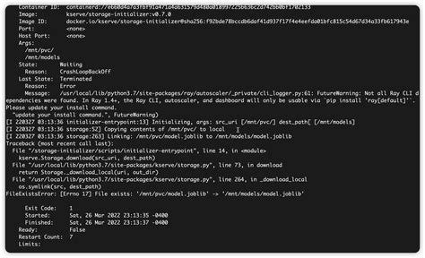 Storage Initializer Error Ossymlinksrc Destpath 11fileexistserror Errno 17 File Exists