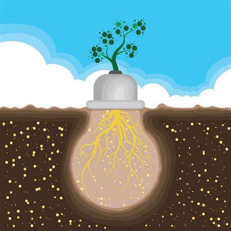 7 Ways To Open Your Root Chakra Start Feeling Connected Now Zero To Infinitude