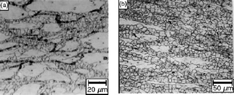 Dynamic Recrystallization Occurring Near Given Boundary After