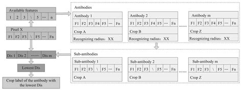 Early Season Crop Mapping Using Improved Artificial Immune Network Iain And Sentinel Data [peerj]