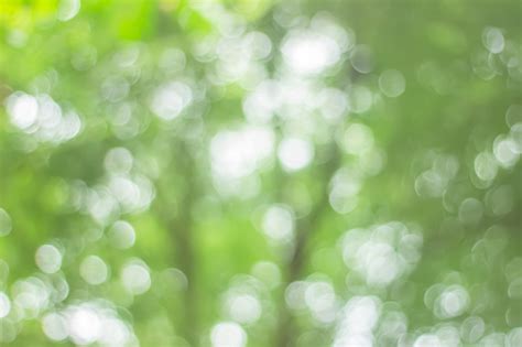 자연 봄 흐리게 녹색 잎 배경입니다 밝은 햇빛에 밝은 부드러운 흐린 색상을 만듭니다 녹색 보케 추상 반짝이 빛 배경입니다 자연의 숲에서 질감을 집중 하 고 신선한 반짝 이