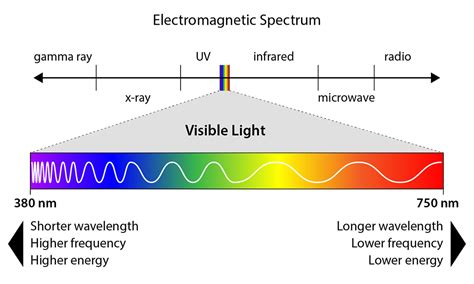 Label The Electromagnetic Spectrum Labels Design Ideas My Xxx Hot Girl