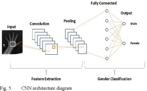 figure 5 from computer vision based approach for estimating age