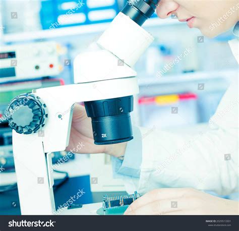 Woman Microscope Microelectronics Laboratory Stock Photo Shutterstock