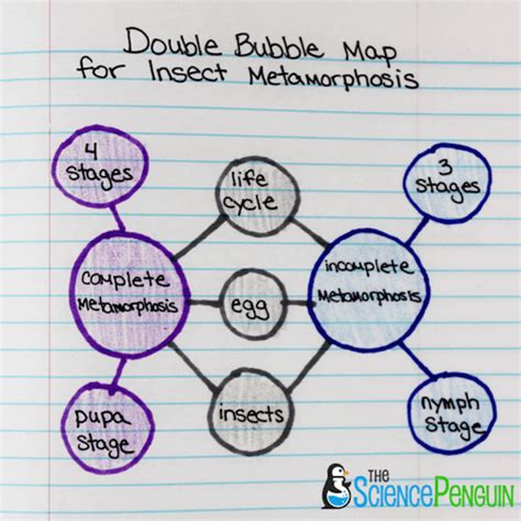 Using Thinking Maps In Science Double Bubble Map — The Science Penguin