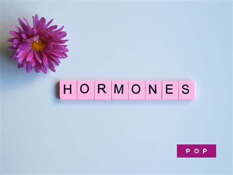 How To Easily Optimize Your Hormones Neurotype Training