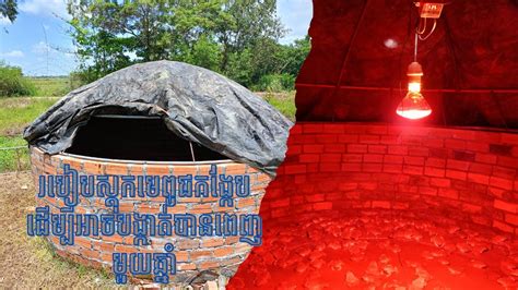 របៀប រៀប ចំអាងស្ដុកទុកមេពូជកង្កែប ដើម្បី អាចមានពង បង្កាត់ ពេញមួយឆ្នាំ Youtube