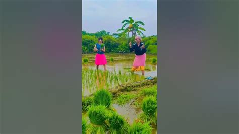 মা মেয়ের পাগলামি 🤩🤩🤩funny Shortvideo Youtube