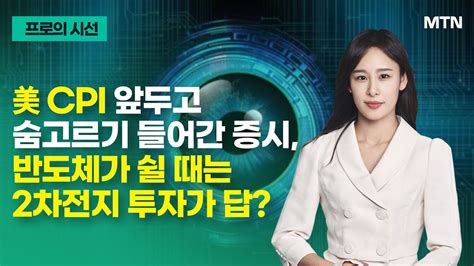프로의 시선 美 Cpi 앞두고 숨고르기 들어간 증시 반도체가 쉴 때는 2차전지 투자가 답 머니투데이방송 증시 증권