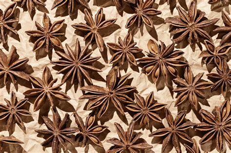 햇빛에 패턴으로 아니스 평면도 클로즈업 향신료 건조 트렌드 색상 2025 종이에 모카 무스 최소한의 미적 음식 질감이 있는 배경 자연 계절 전통 조미료 플랫 레이 2025