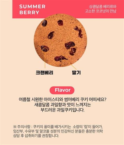 점보 잇츠베러 크래커 미니 티 쿠키 대용 더플랜잇 코케비즈