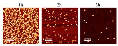 Controlling The Nanoscale Patterning Of Aunps On Silicon Surfaces