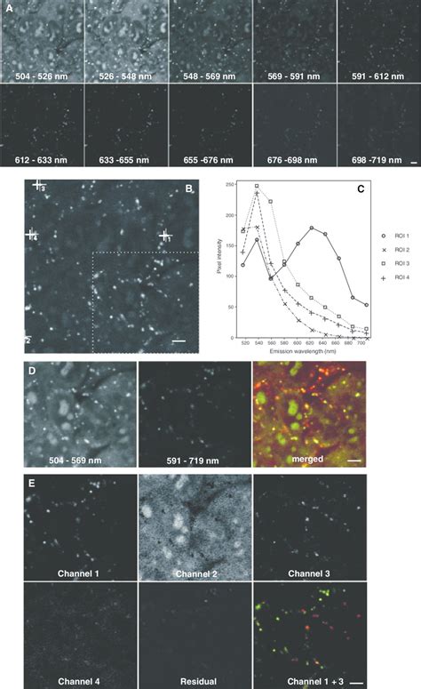 18 Spectral Separation Using Multiple Spectral Images Linear Unmixing