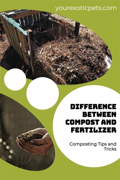 Difference Between Compost And Fertilizer Growing Herbs At Home Composting Process How To