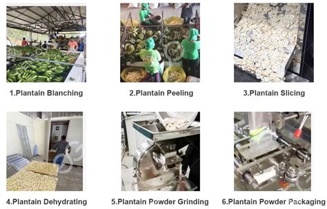 Plantain Banana Flour Powder Processing Machine Plant