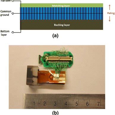 A Schematic View Of The Co Linear Array B Photograph Of The Prototyped Download Scientific