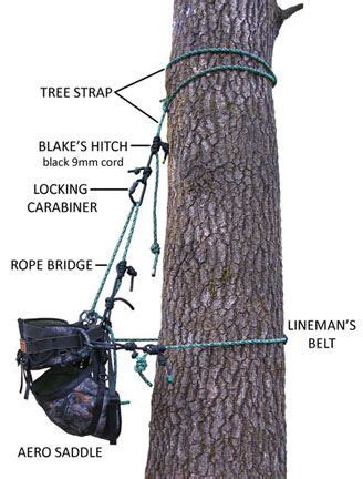 Best Tree Saddle Images In Saddle Hunting Bow Hunting