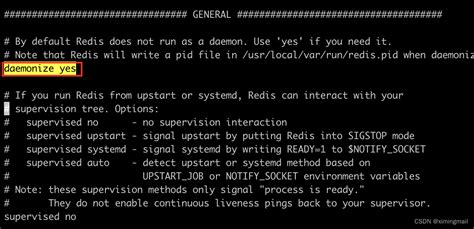 Mac安装redis与后台启动 macos redis 后台启动 CSDN博客