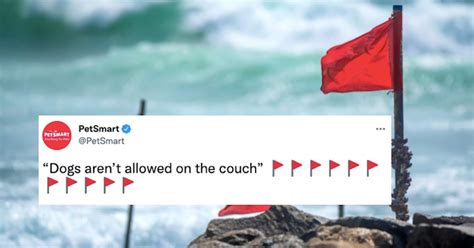 26 Best Red Flag Memes That Arent Here For Your Bad Opinions