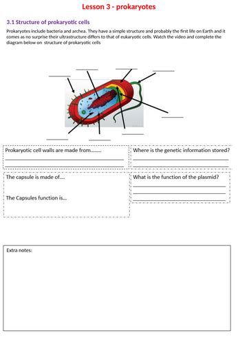 Btec Applied Science Unit 1 Biology Teaching Resources