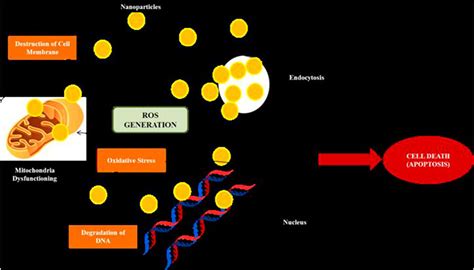 Bibliometric Analysis On Exploitation Of Biogenic Gold And Silver