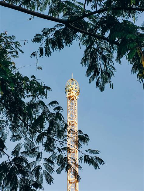 Fc3582 경치 경치 좋은 전망 공공 장소 공원 나무 캐노피 나무가 늘어선 나무가 늘어선 길 녹색 도시 풍경 녹지 도시 공원 도시 녹지 도시 디자인