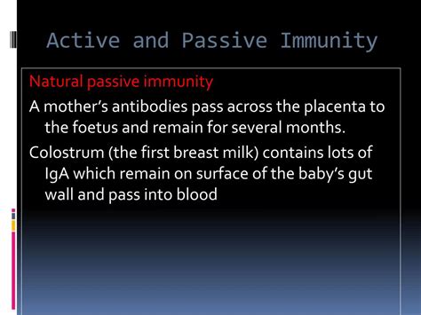 Ppt The Immune System Powerpoint Presentation Free Download Id3861463