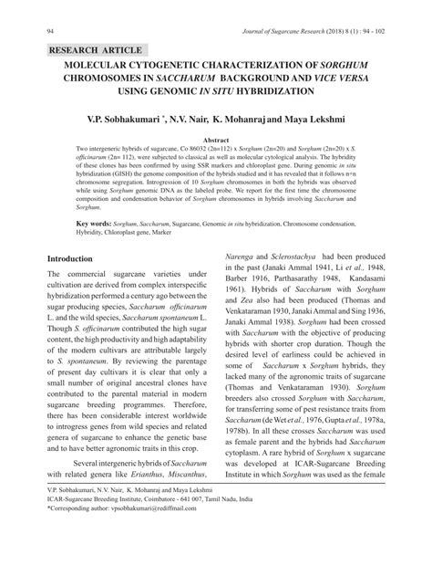 Pdf Molecular Cytogenetic Characterization Of Sorghum Chromosomes In