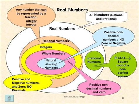 Number System Diagram