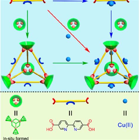 Self Assembly Of Heterometallic Zr−cu Cage Using A One Pot Download Scientific Diagram