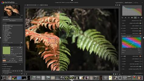 Explore Whats New In Darktable 48 The Latest Open Source Raw Image