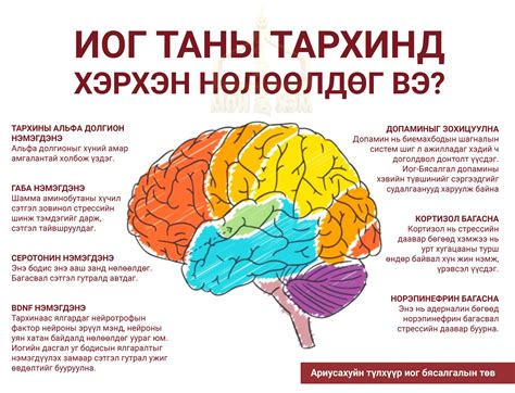 Ариусахуйн Иог бидний тархинд хэрхэн нөлөөлдэг вэ 🧘‍♀️Тархины альфа долгион нэмэгдэнэ Альфа
