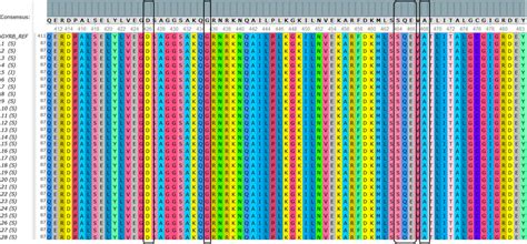 The Multiple Sequence Alignment Of Hotspot Gyrb From 28 S Download Scientific Diagram