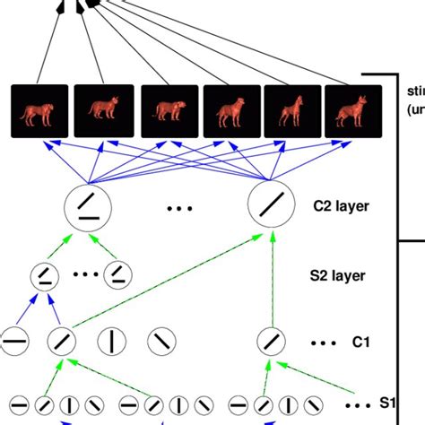 Our Model Of Object Categorization The Model Builds On Our Model Of
