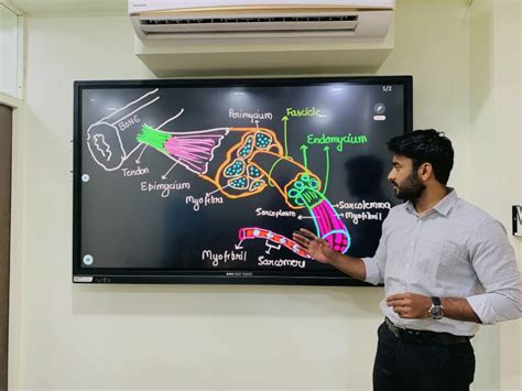 Biology Neet Diagram Motivation Rolemodel Teachingandlearning Mentor Pavan Suthar