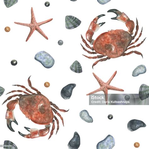 원활한 수채화 바다 패턴입니다 손으로 그린 게 불가사리 홍합 조개 바다 자갈 빈티지 스타일 그림입니다 흰색 배경입니다 해상 요소 안녕하세요 바다입니다 해상 인테리어 갈고리