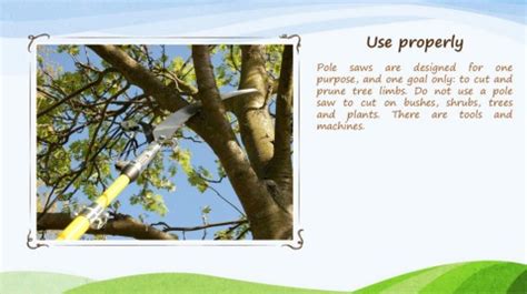 Tree Pruning Safety Tips Maureen Nunez Page Flip PDF Online PubHTML