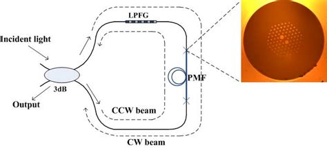 Basic Structure Of The Proposed Sensor Download Scientific Diagram