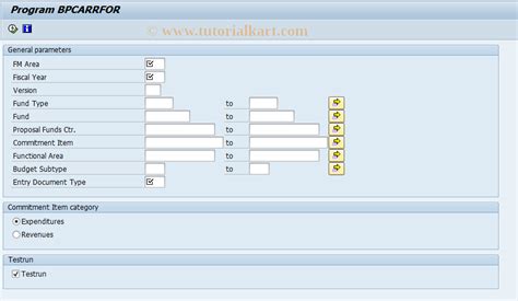 FMFG E CF SAP Tcode Budget Carry Forward With Subtypes