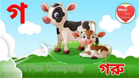 ক খ গ ঘ বাংলা ব্যঞ্জনবর্ণ ক এ কাকাতুয়া খ এ খেকশেয়াল বাংলা