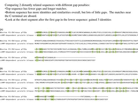 PPT Sequence Alignment PowerPoint Presentation Free Download ID 3873044