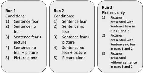 Experimental Design The Experiment Consisted Of Three Runs In Runs 1