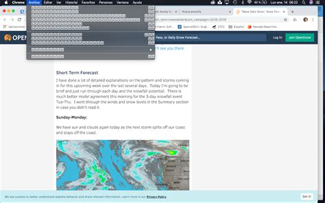 Text Bug In Mojave Macrumors Forums