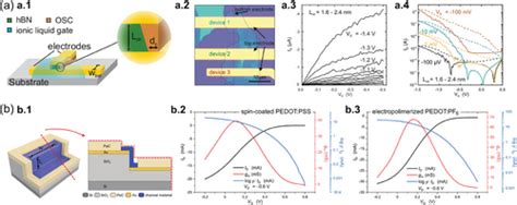 Advanced Neuromorphic Applications Enabled By Synaptic Ion‐gating Vertical Transistors Merces