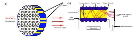 Simulation On Secondary Electron Multiplication Behavior Of The Microc
